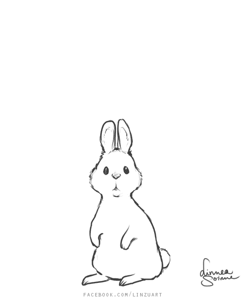 Rabbit Jumping Gif